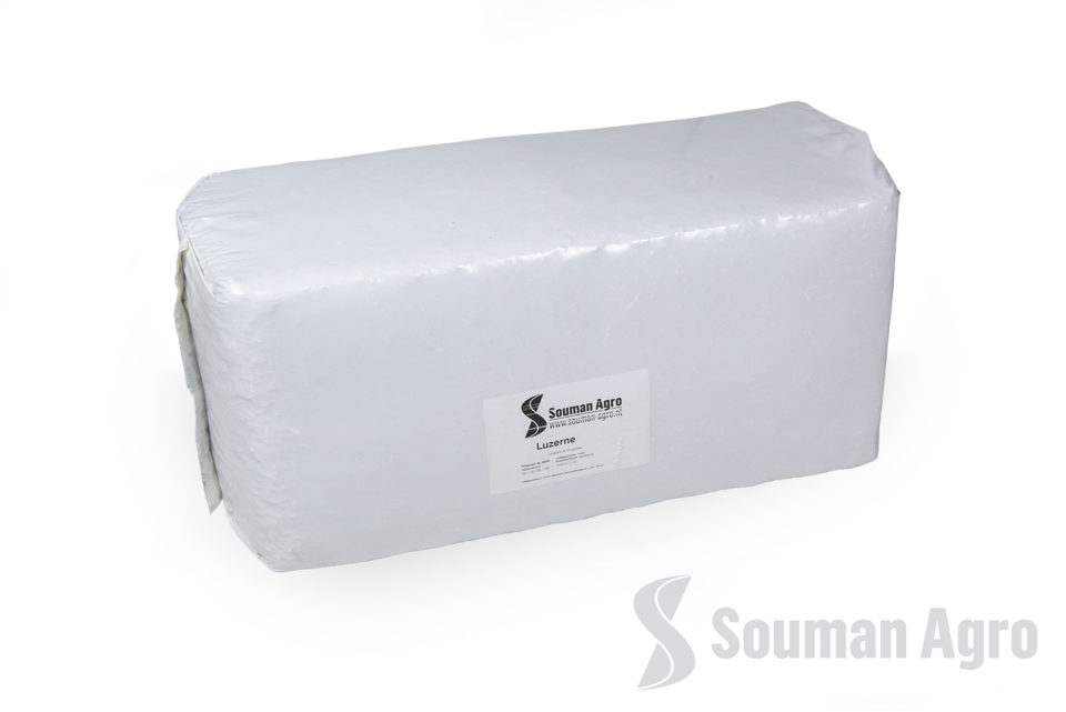 Rumiplus luzerne - Souman Agro